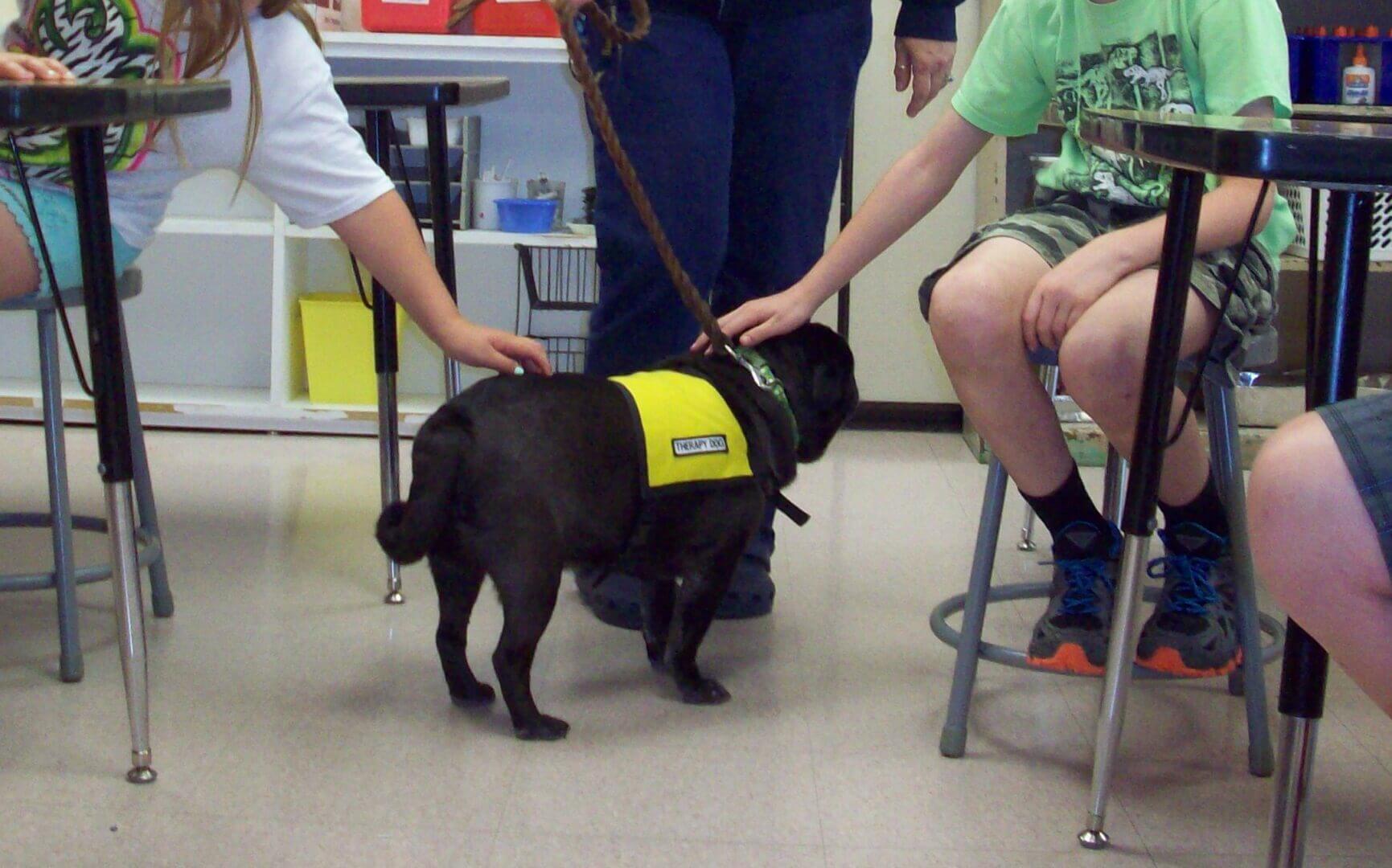 PAWS of CNY Volunteers Provide Pet Therapy Education to Students at ...