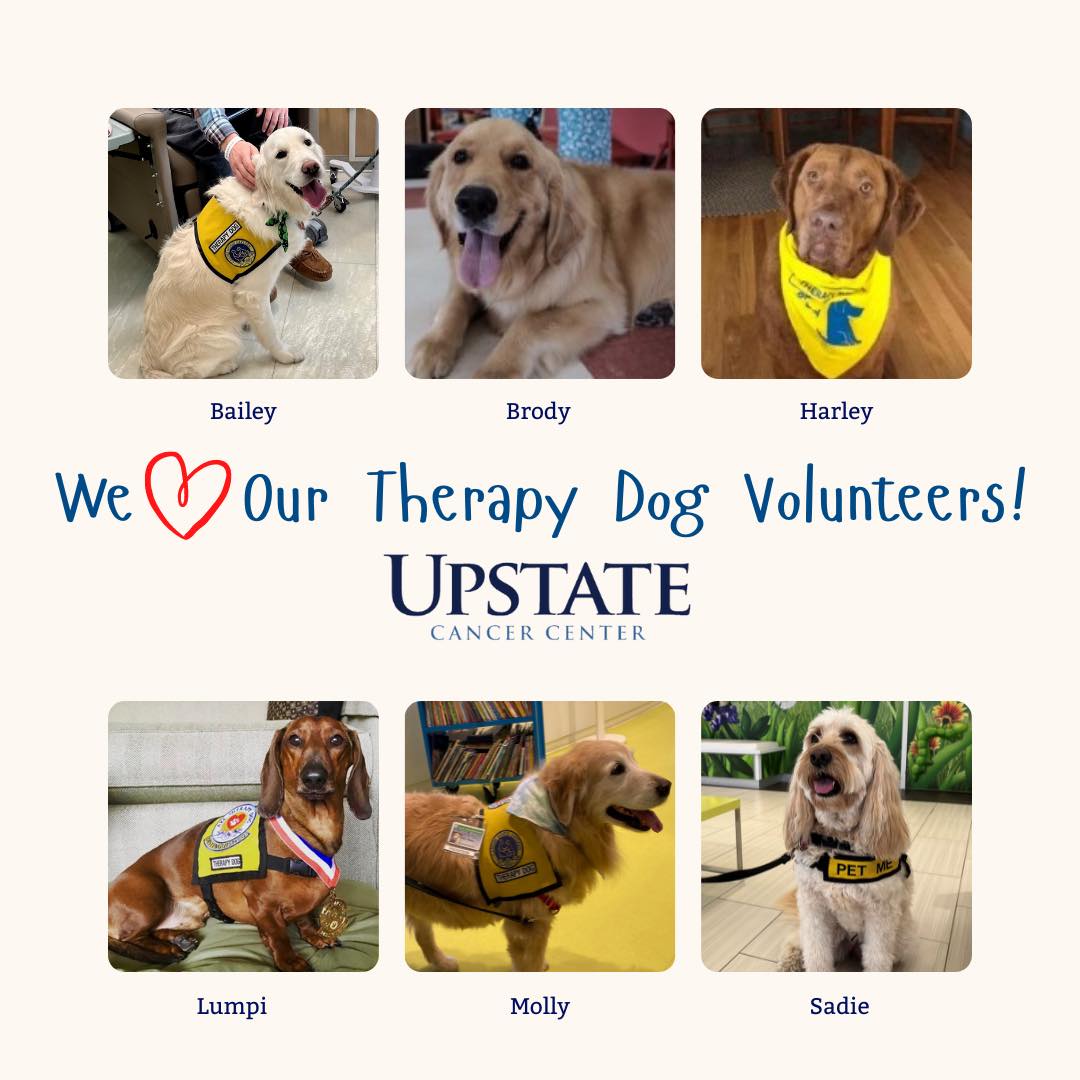 Upstate Cancer Center Recognizes PAWS of CNY Therapy Dogs - PAWS of CNY