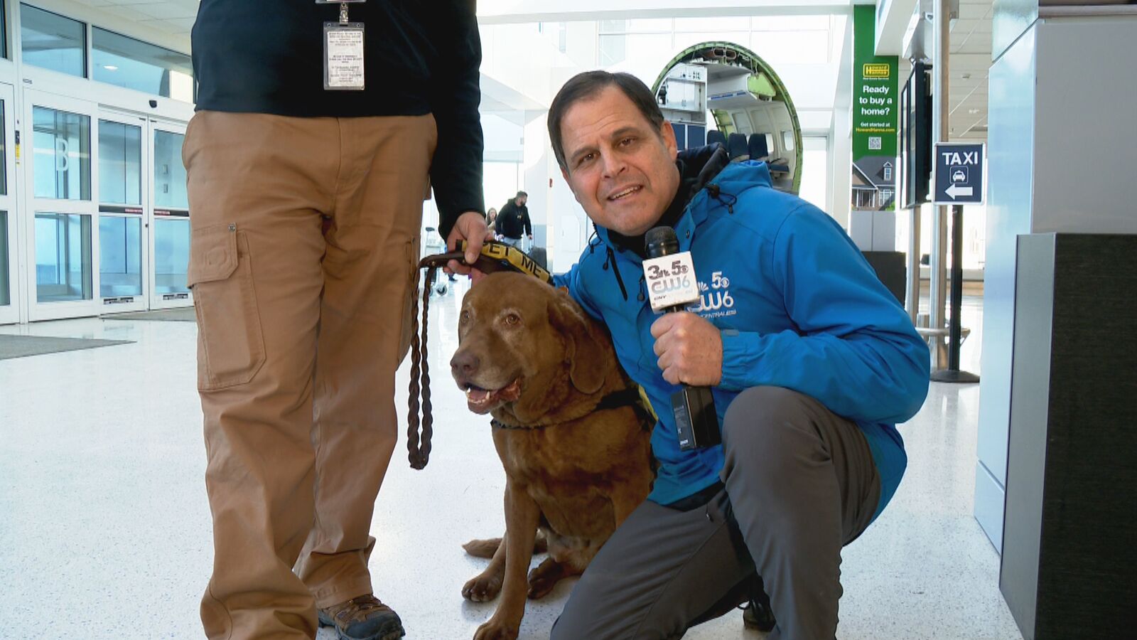 Hancock Airport's Therapy Dog Team Seeks to Ease Travelers' Stress ...